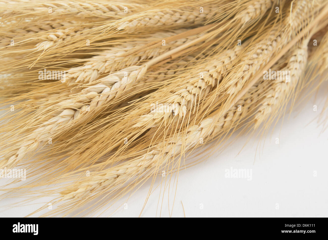Wheat Crop Bundle Stock Photos & Wheat Crop Bundle Stock Images - Alamy