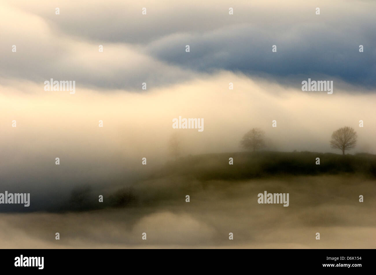 Valley with morning mist covering the trees Stock Photo - Alamy