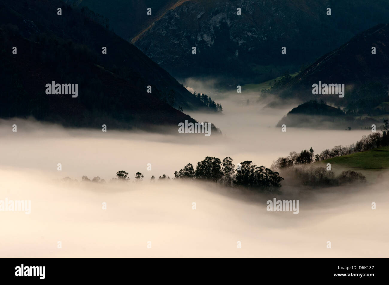 Valley with morning mist covering the trees Stock Photo - Alamy