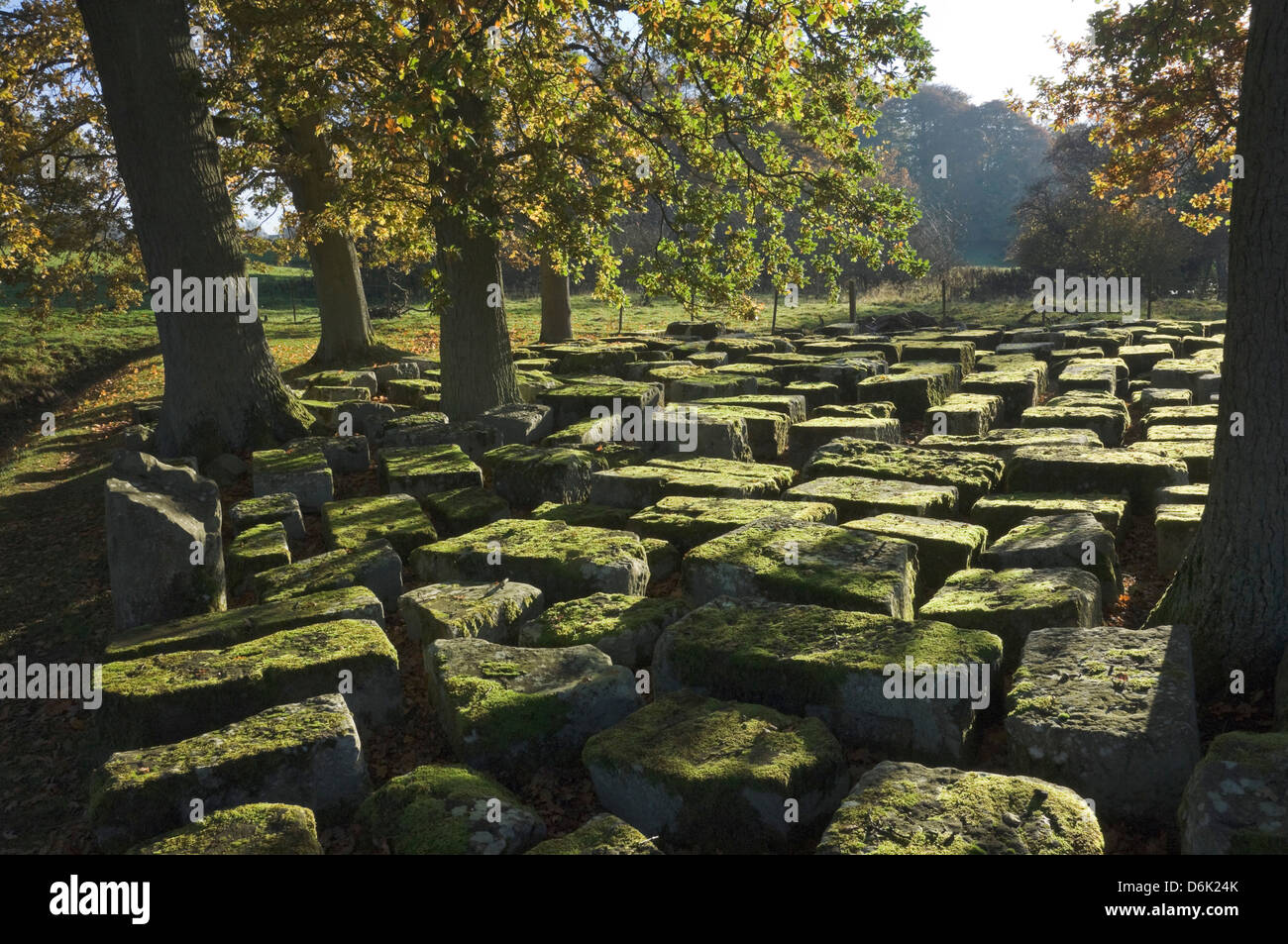 Stones recovered from the Roman Bridge, Chesters Roman Fort, Hadrian's ...