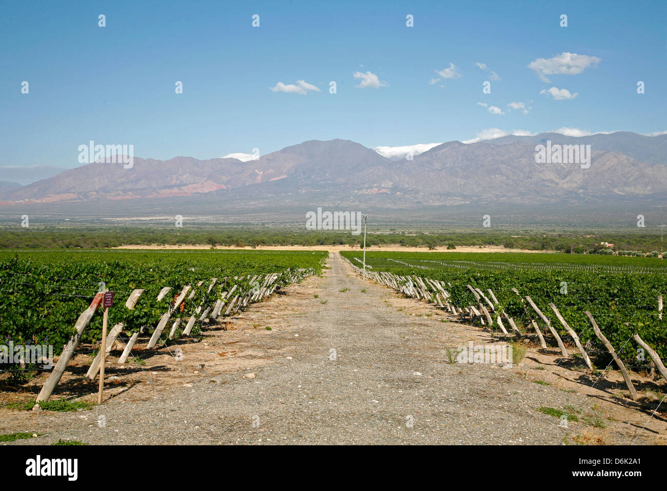 Cafayate hi-res stock photography and images - Alamy
