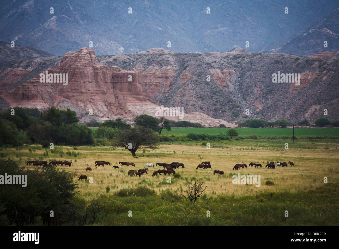 Valles calchaquies hi-res stock photography and images - Alamy