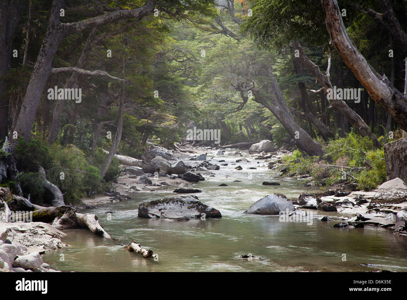 Pichi traful river hi-res stock photography and images - Alamy