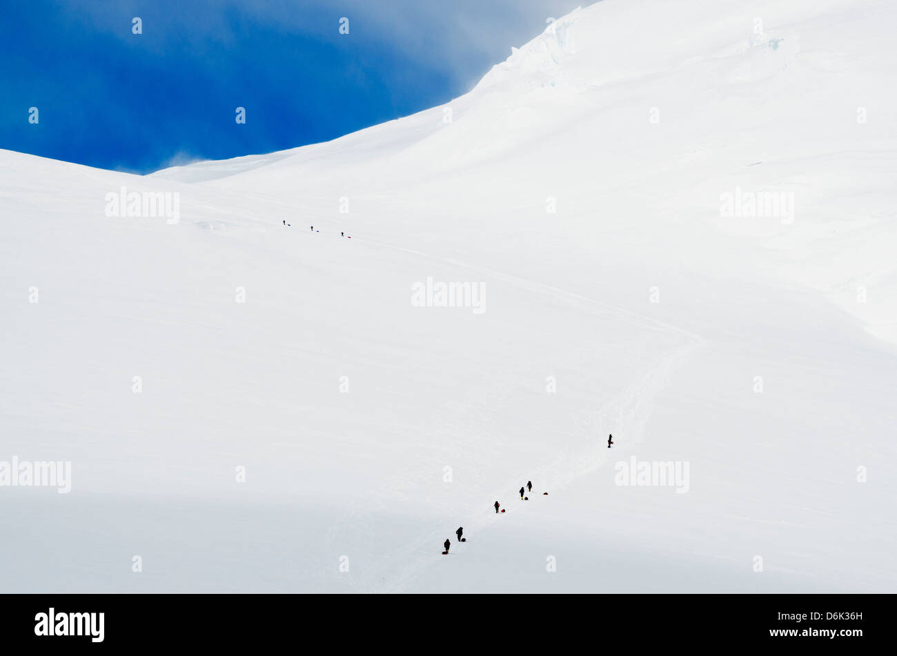 climbing expedition on Mt McKinley 6194m, Denali National Park, Alaska ...