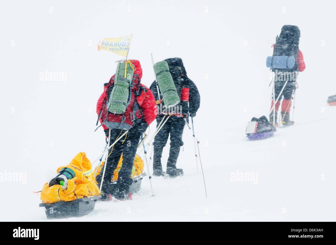 climbing expedition on Mt McKinley 6194m, Denali National Park, Alaska ...