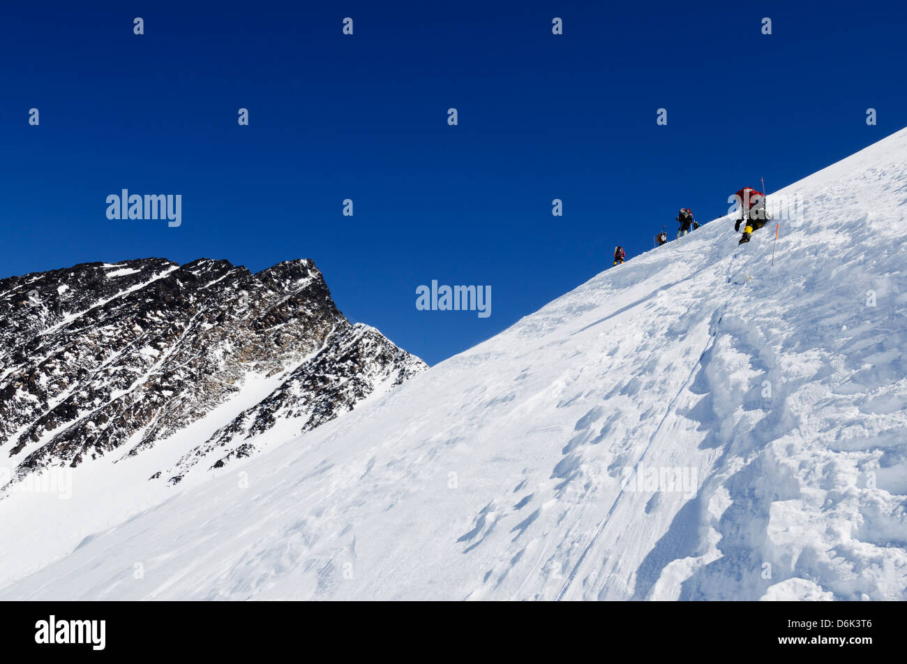 climbing expedition on Mt McKinley 6194m, Denali National Park, Alaska ...