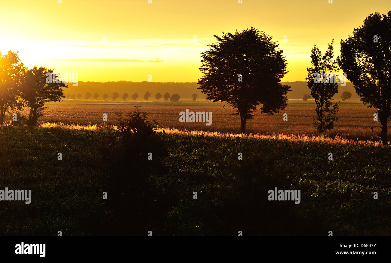 Long shadows over field hi-res stock photography and images - Alamy