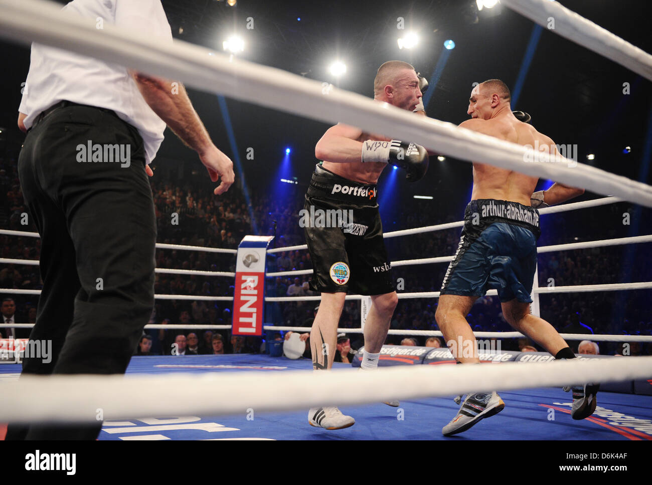 Polish boxer hi-res stock photography and images - Alamy