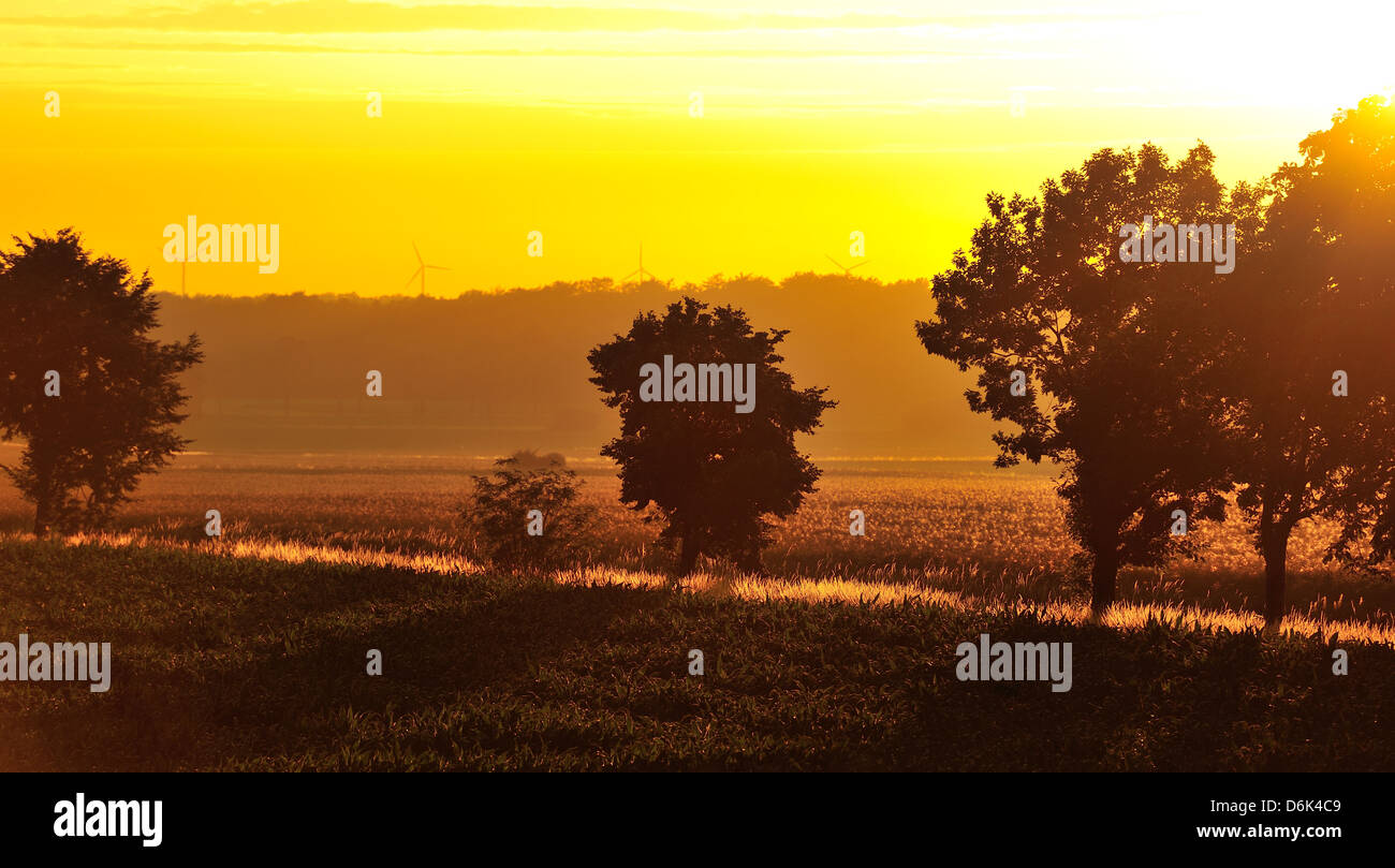 Long shadows over field hi-res stock photography and images - Alamy