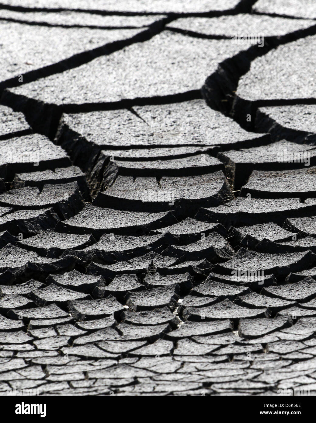 Bursted dry mud in Barth, Germany, 19 March 2012. Photo: Bernd ...