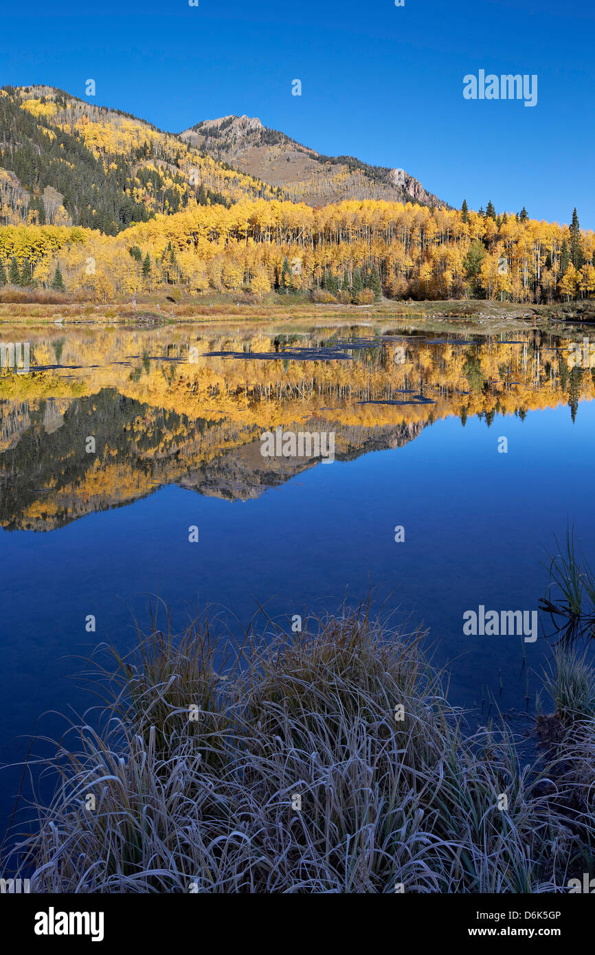 Aspen yellow national park hi-res stock photography and images - Alamy