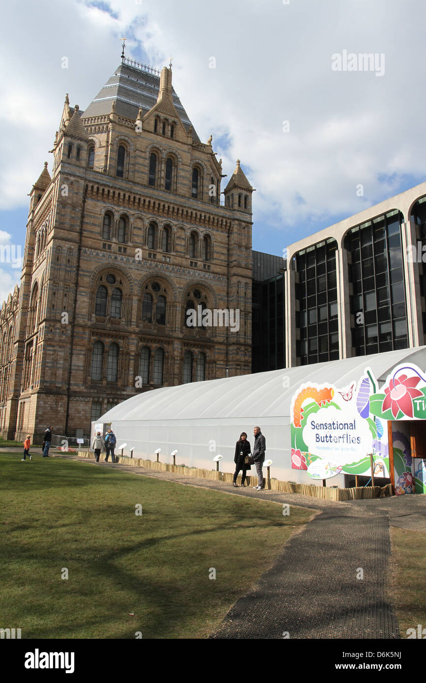 Sensational Butterflies exhibit Natural History Museum London UK April ...