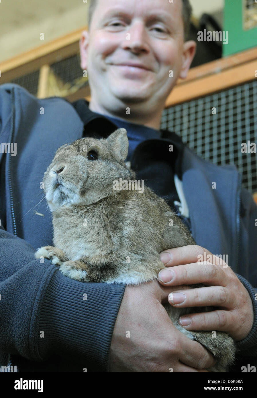 Award winning rabbits hi-res stock photography and images - Alamy