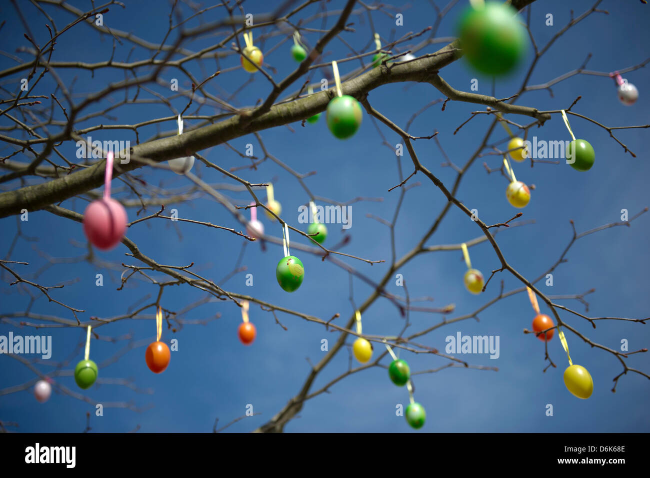 Colorful Easter eggs hang from a tree in Michelstadt, Germany, 03 April ...