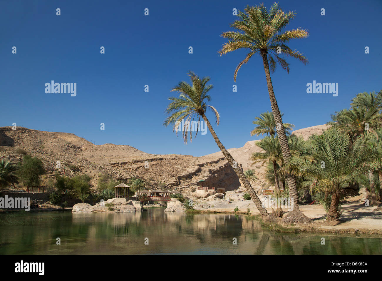 Middle East Desert Oasis