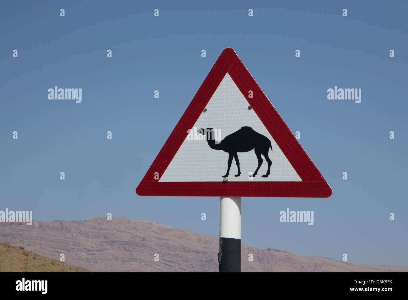 Camel road sign, Wahiba, Oman, Middle East Stock Photo - Alamy