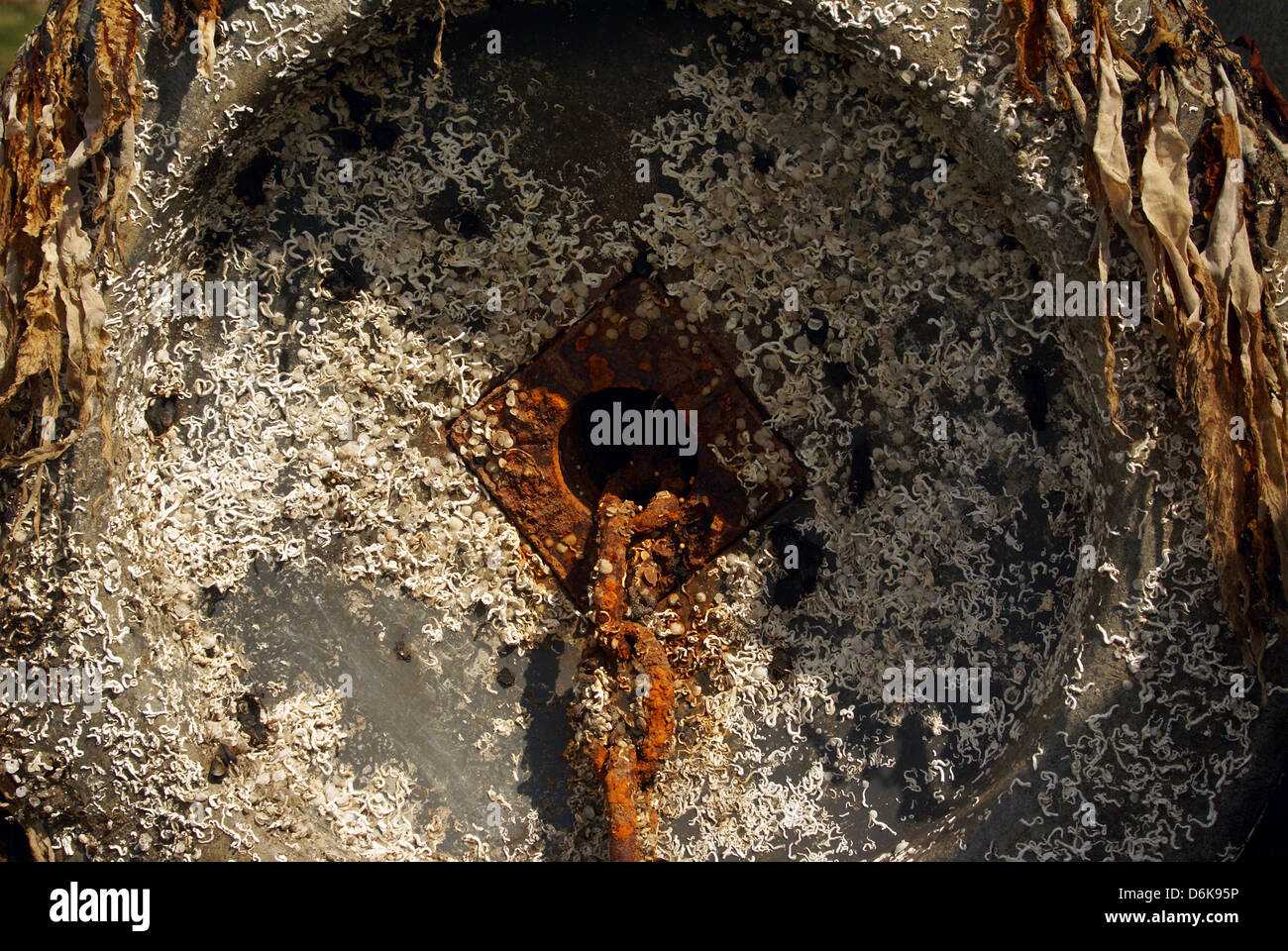 Commerical vessel hi-res stock photography and images - Alamy