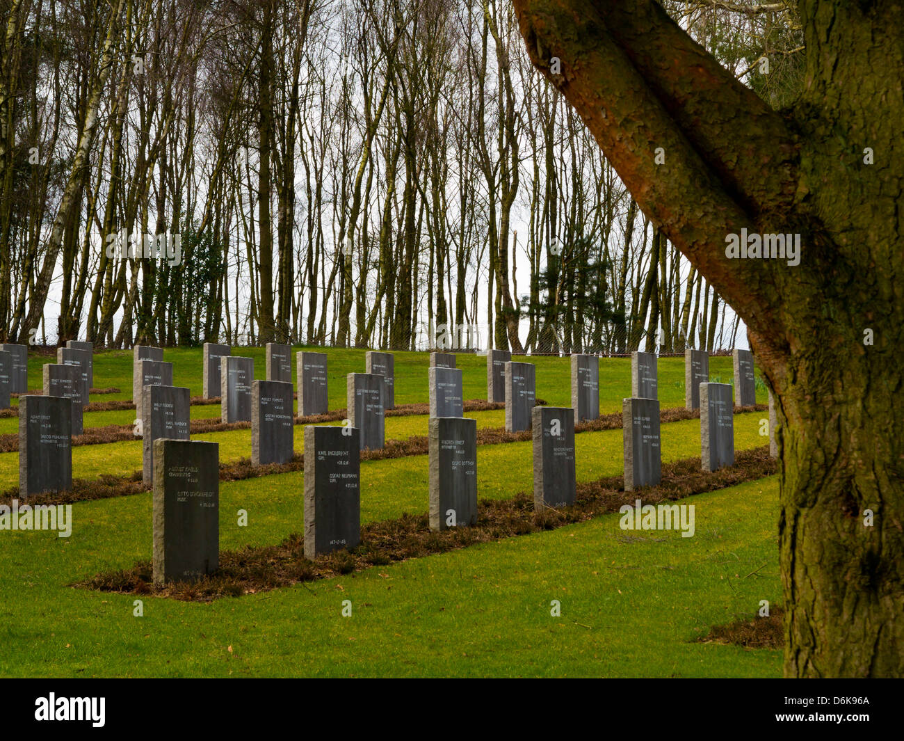 Graves at German War Cemetery on Cannock Chase Staffordshire England UK ...