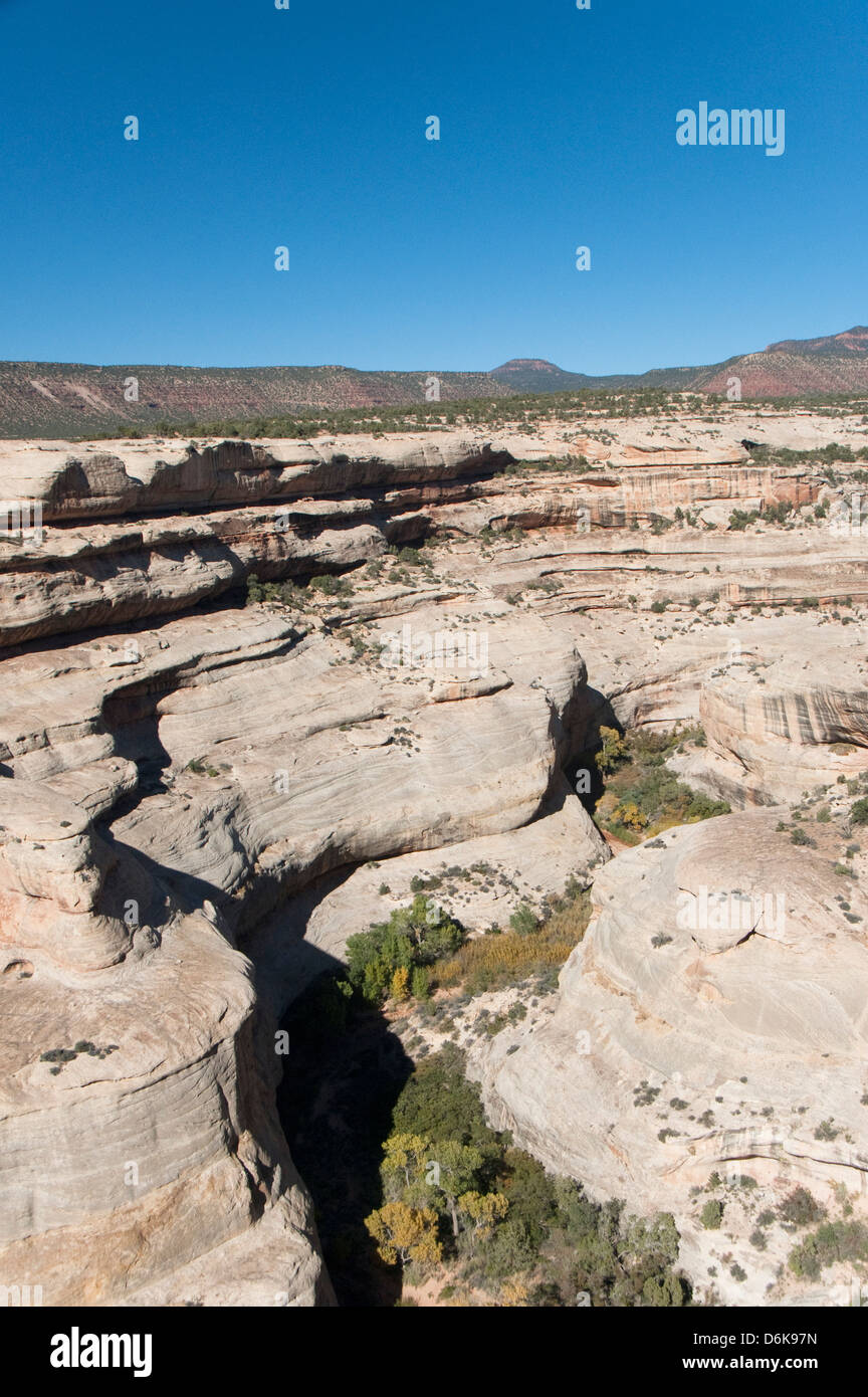 Natural bridges national monument hi-res stock photography and images ...