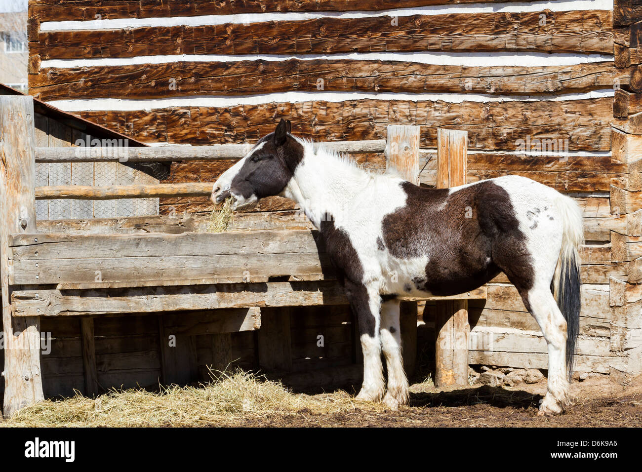 Old timber barn on local ranch Stock Photo - Alamy