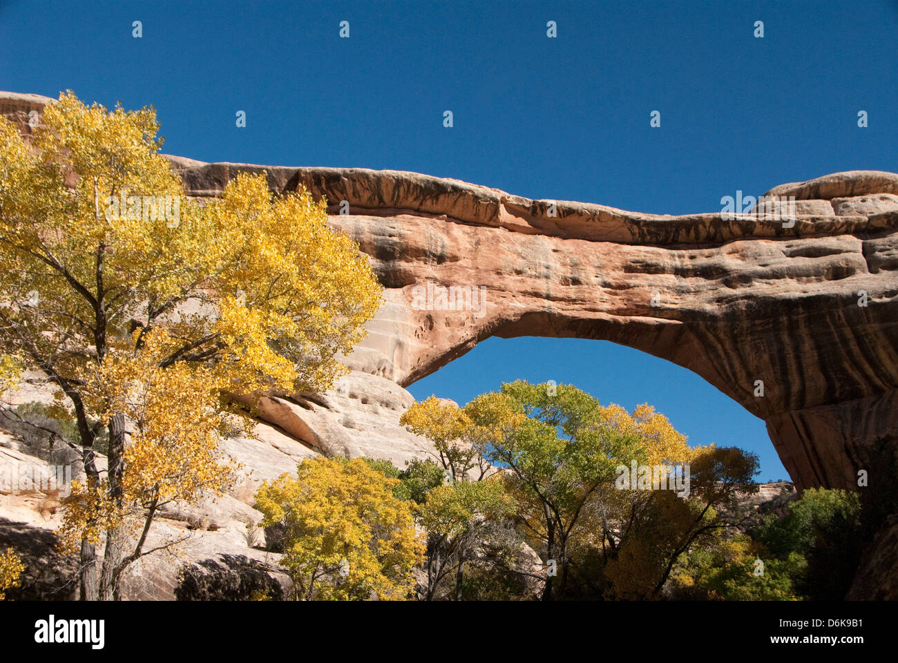 Natural Bridges National Monument Utah United States at Billy Dendy blog
