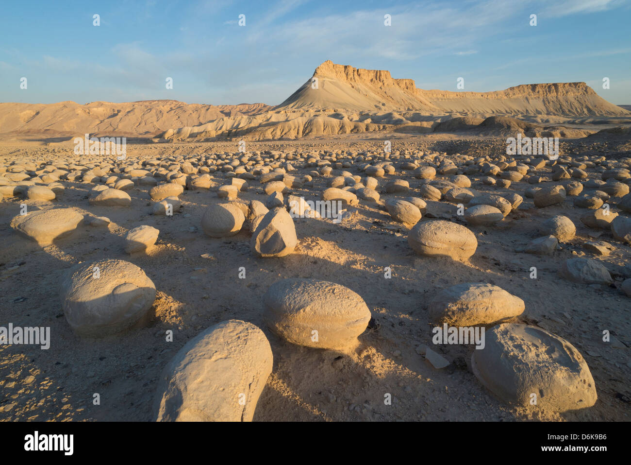 Bulbus rocks field and Mount Zin. Zin Valley. Negev Desert. Israel ...