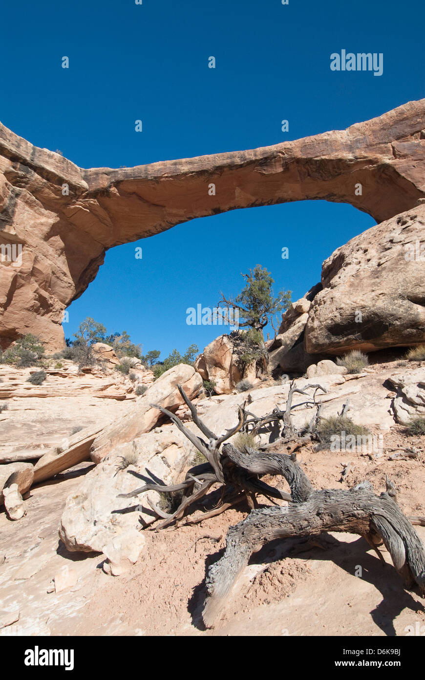 Natural Bridges National Monument Utah United States at Billy Dendy blog