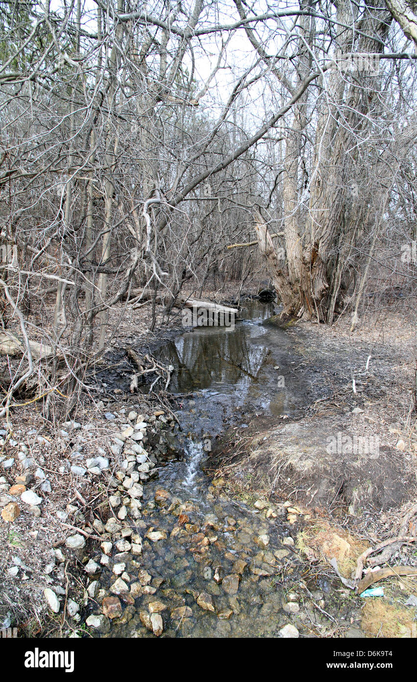 Woodland creek hi-res stock photography and images - Alamy