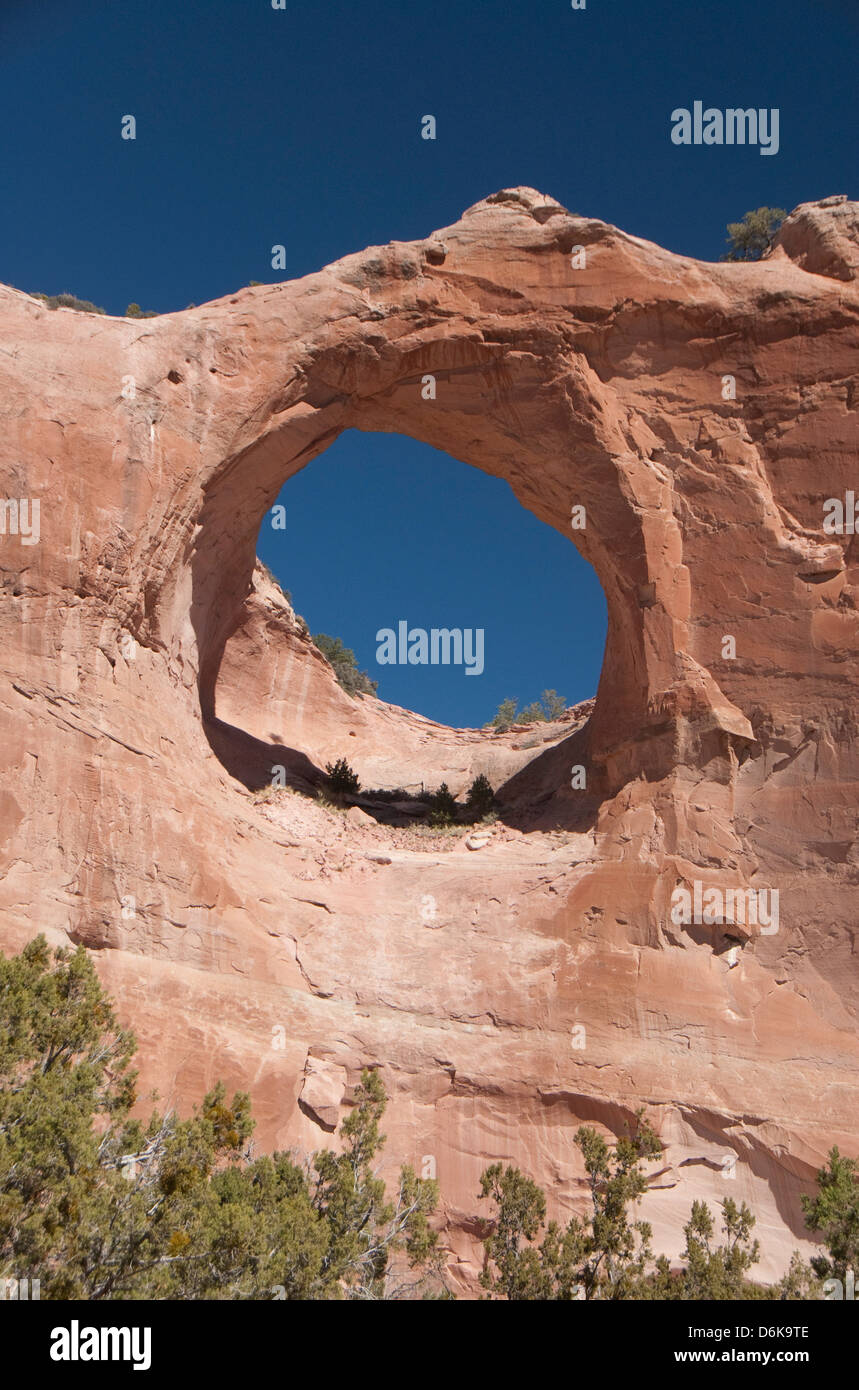 Window Rock Az Elevation