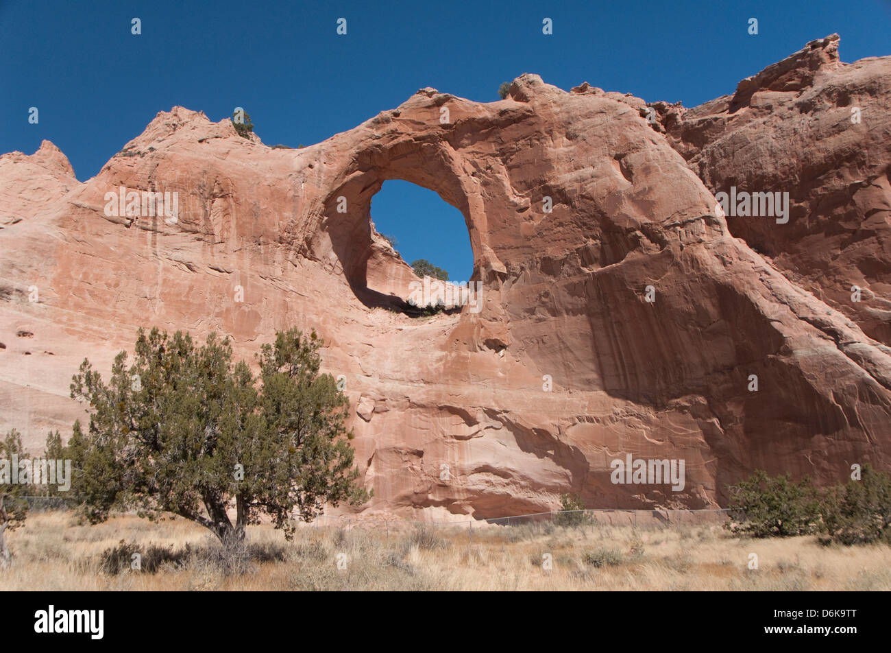 Window Rock Az Elevation