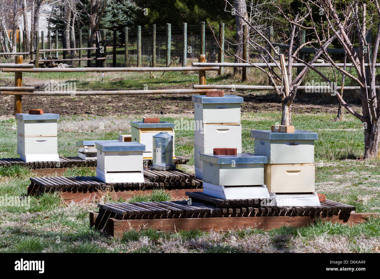 Small beekeeping at the local farm Stock Photo - Alamy