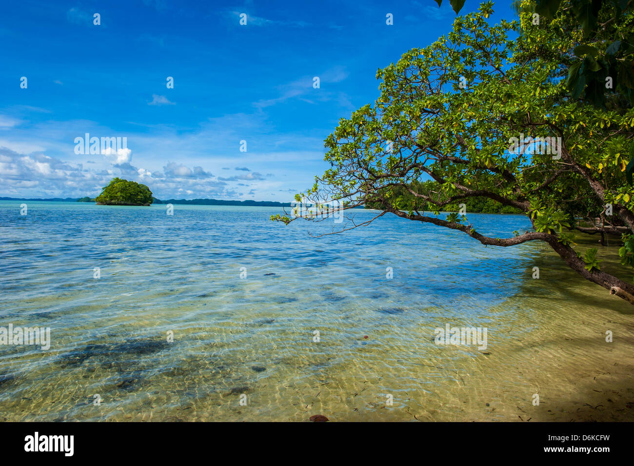 Little rock islet in the famous Rock islands, Palau, Central Pacific ...