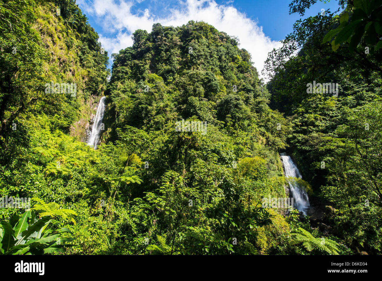 Trafalgar Falls, Morne Trois Pitons National Park, UNESCO World ...