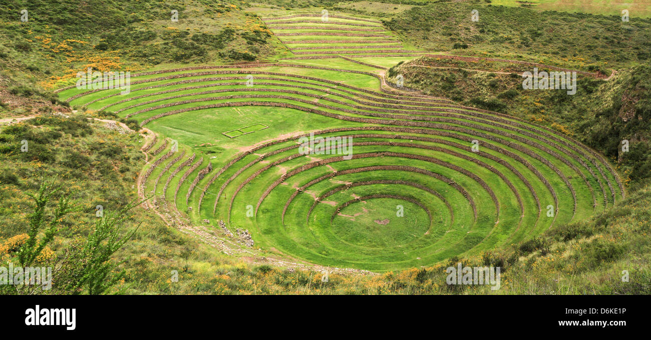 Aztec Terrace Farming