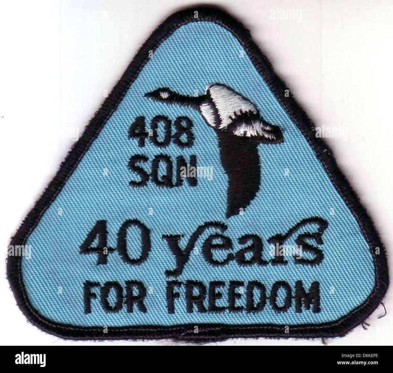 This image commemorates the 408 Squadron Anniversary, marking the unit ...