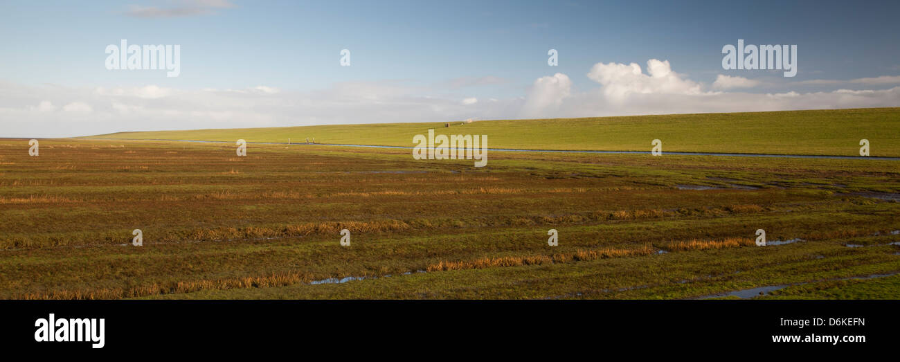 Salt marsh national park hi-res stock photography and images - Alamy