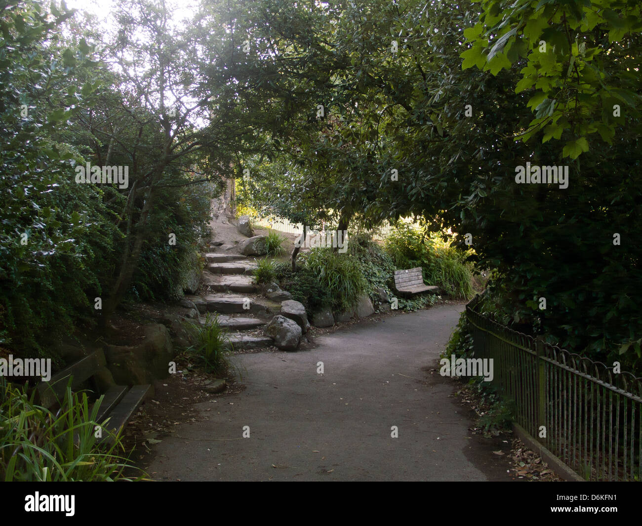 Path in park, bench, steps, trees Stock Photo - Alamy