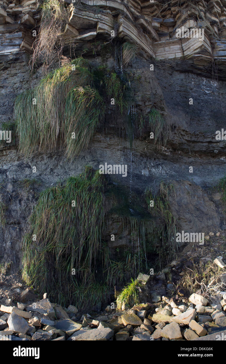 A small waterfall cascades down the cliff face at Penarth in South ...