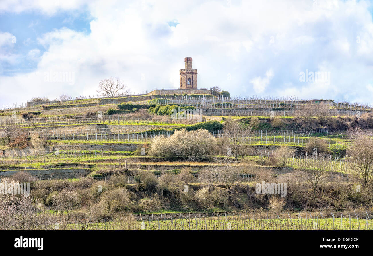 Tower in the vineyards Stock Photo - Alamy