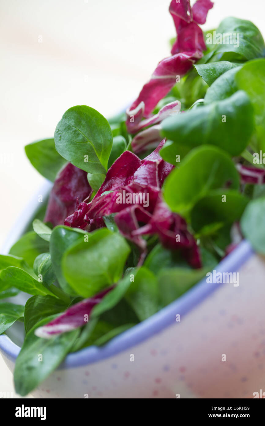 Fresh and pure and fresh hi-res stock photography and images - Alamy