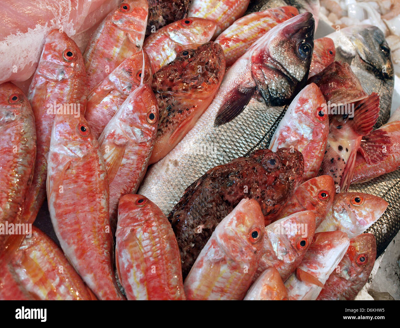 Fish market - mullet, bass and redfish Stock Photo - Alamy