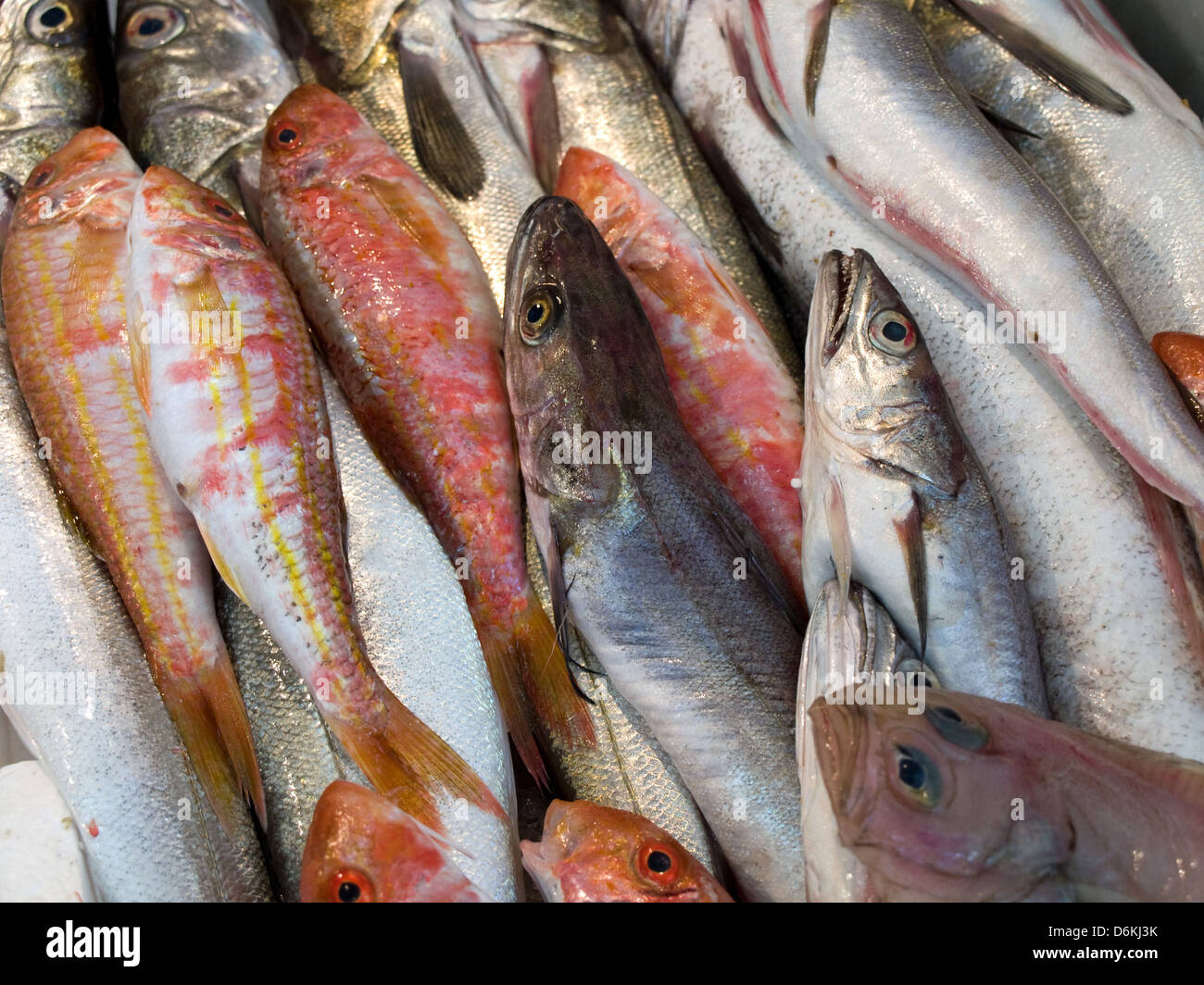 Cod fish market shop hi-res stock photography and images - Alamy