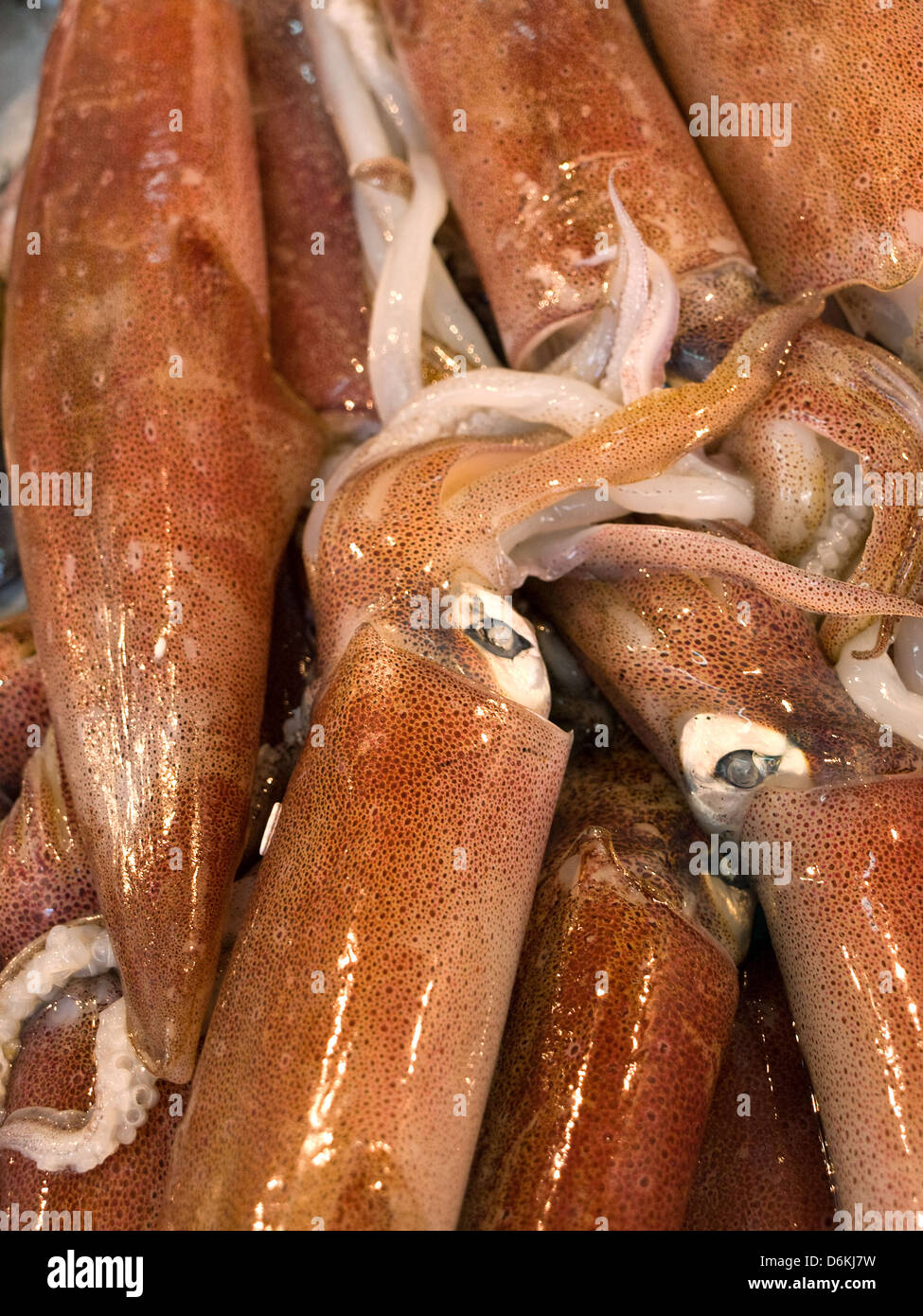 Fish market - squid Stock Photo - Alamy
