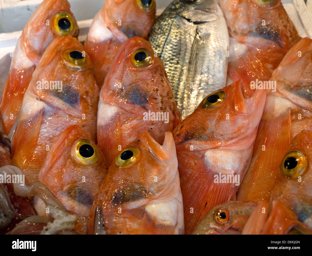 fish market - redfish background Stock Photo - Alamy