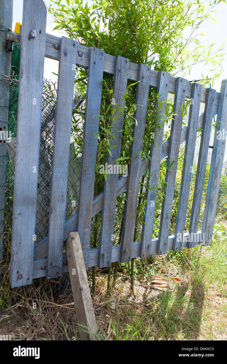 garden blue fence Stock Photo - Alamy