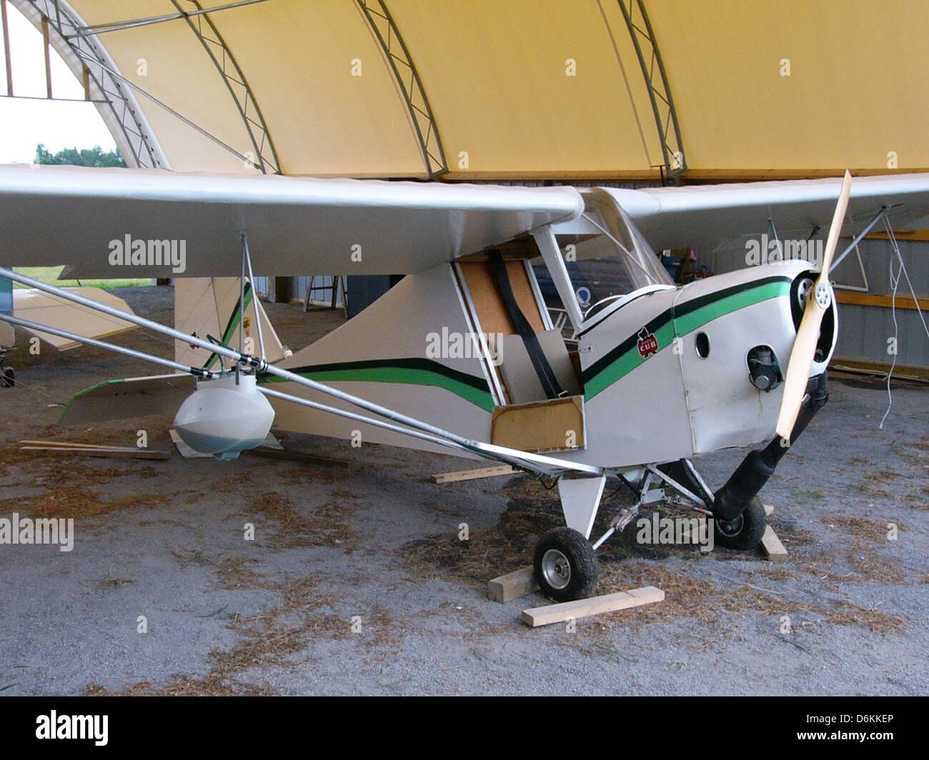 This image features the Fisher FP-101 C-IAPV, a specialized aircraft ...