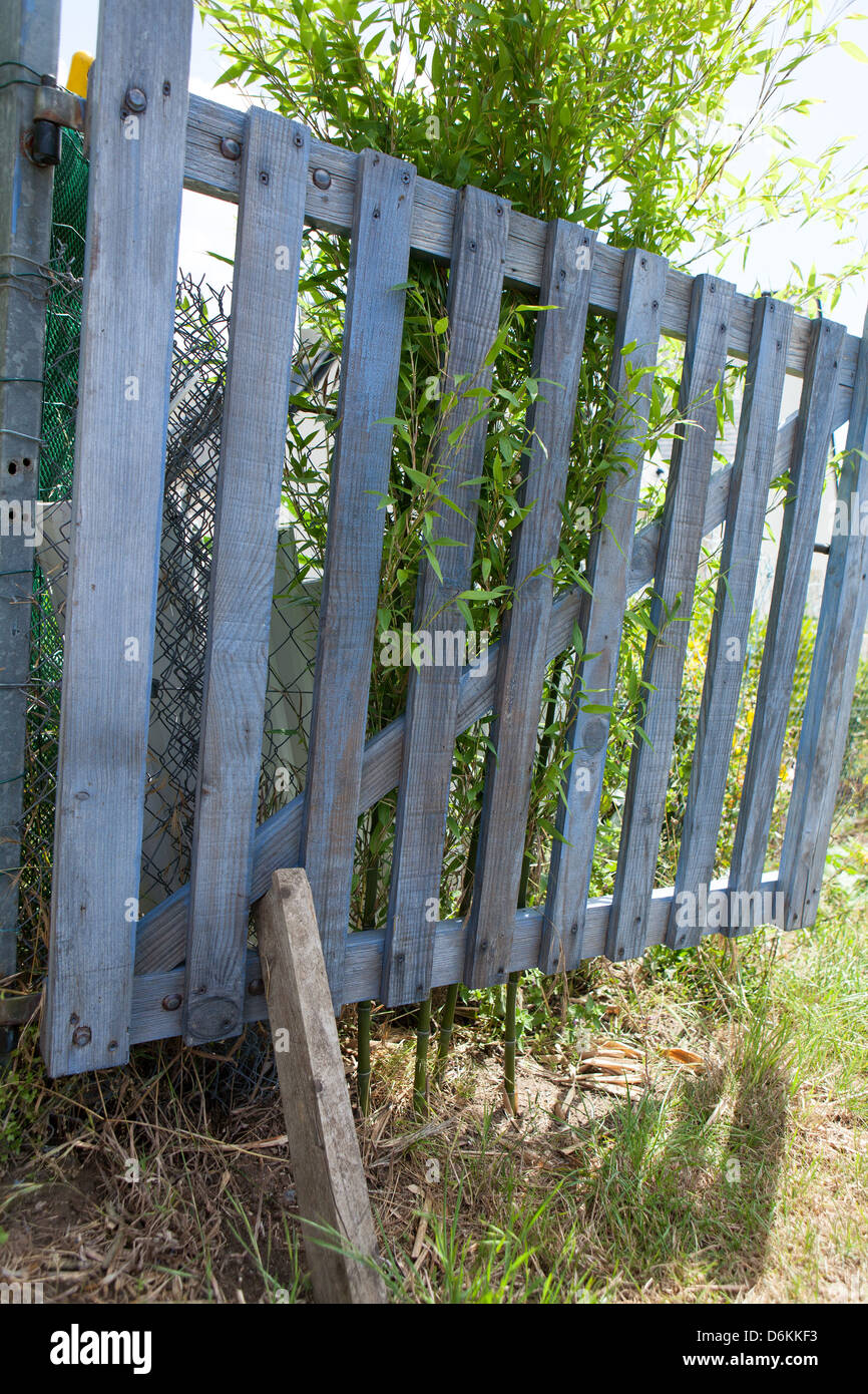 garden blue fence Stock Photo - Alamy