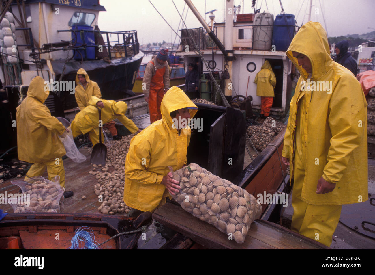 Mussel shellfish fishing boat ship hi-res stock photography and images ...