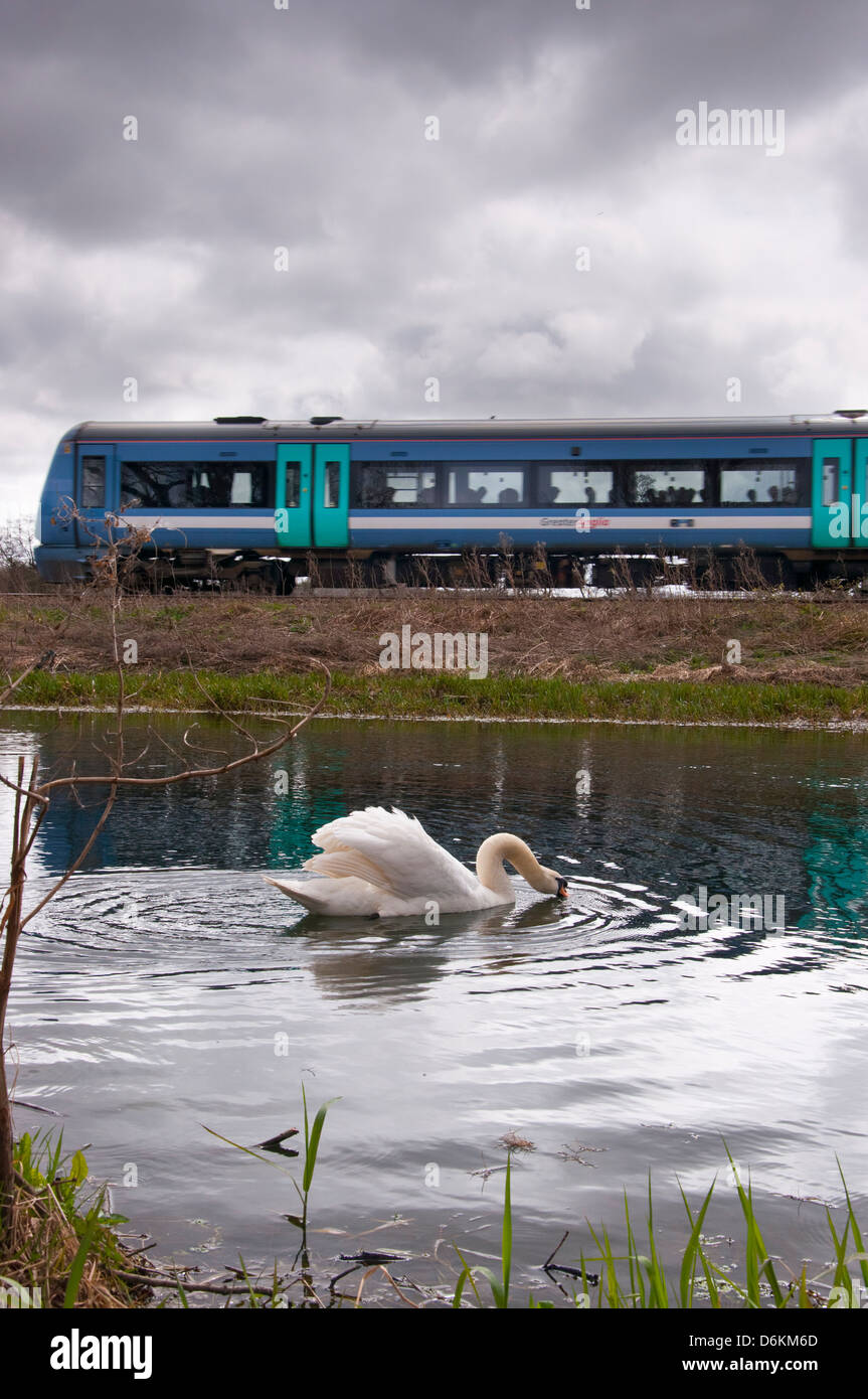 Greater Anglia rural Train service passing River Yare Norfolk Railway ...