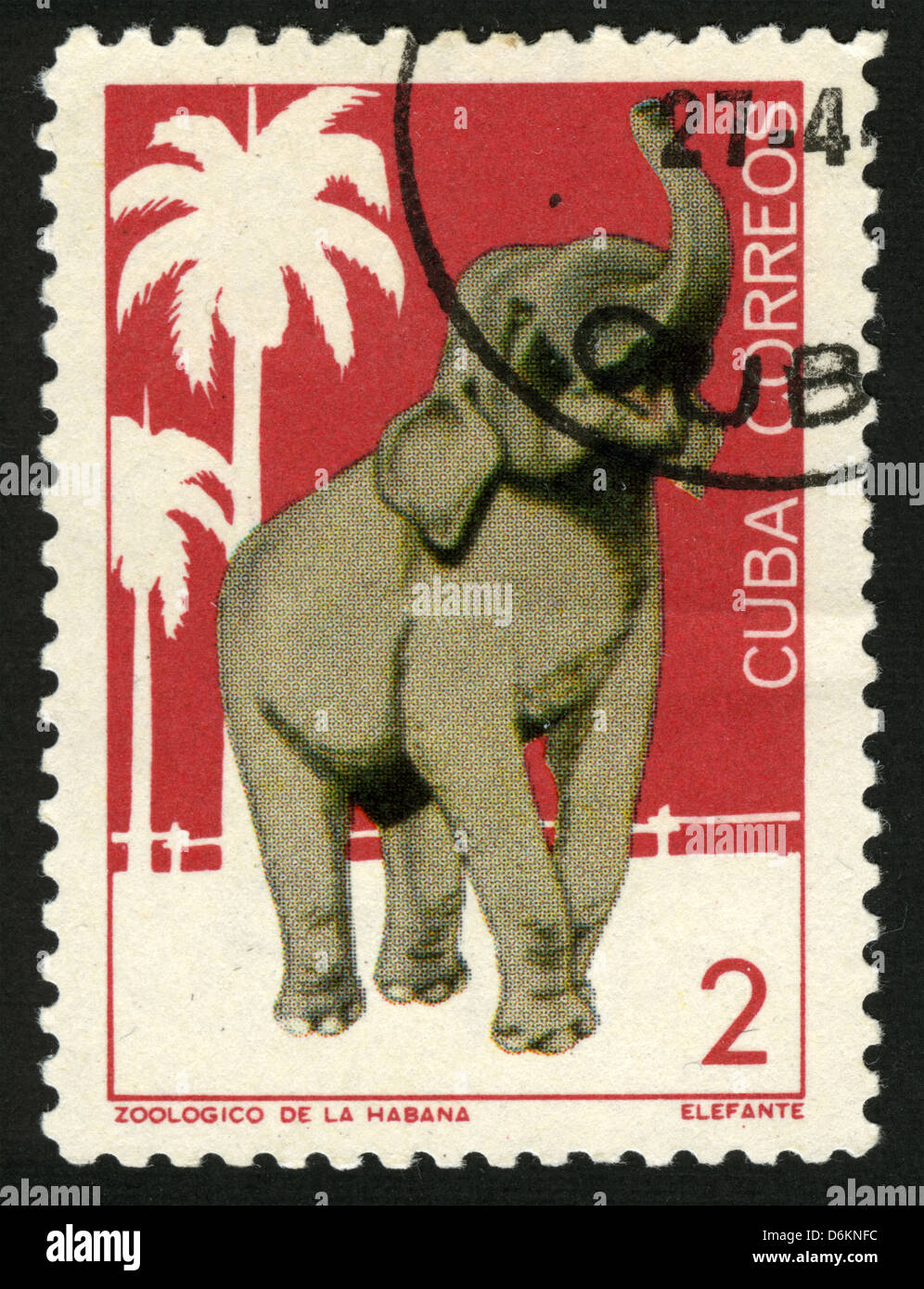 Cuba,post mark,stamp,animals,animals illustrations,fauna,mammals,fauna ...